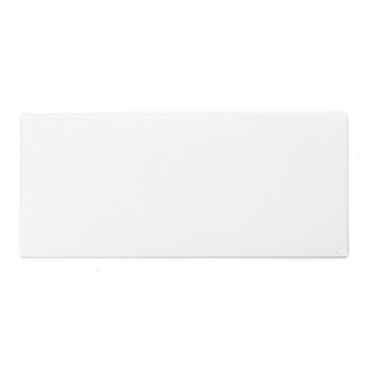 #10 Tint Zip Stick Self Seal Envelope - The Envelope Company