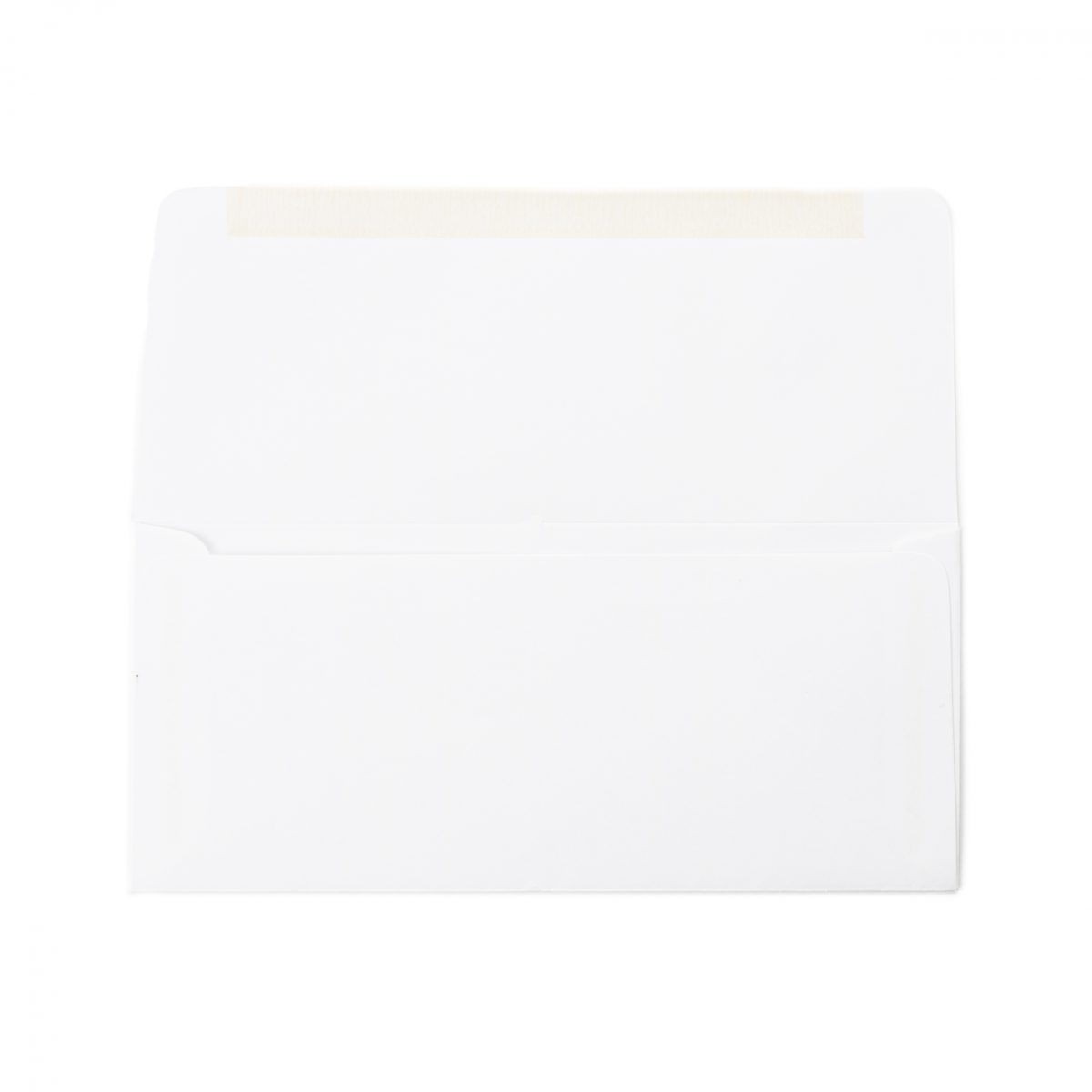 #6-3/4 Remittance Envelope - The Envelope Company