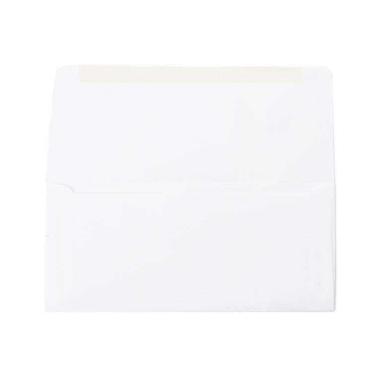 #6-3/4 Remittance Envelope - The Envelope Company